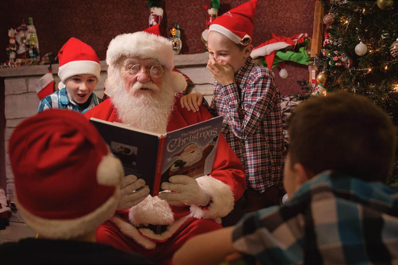 Hire a Santa - Santa Dave